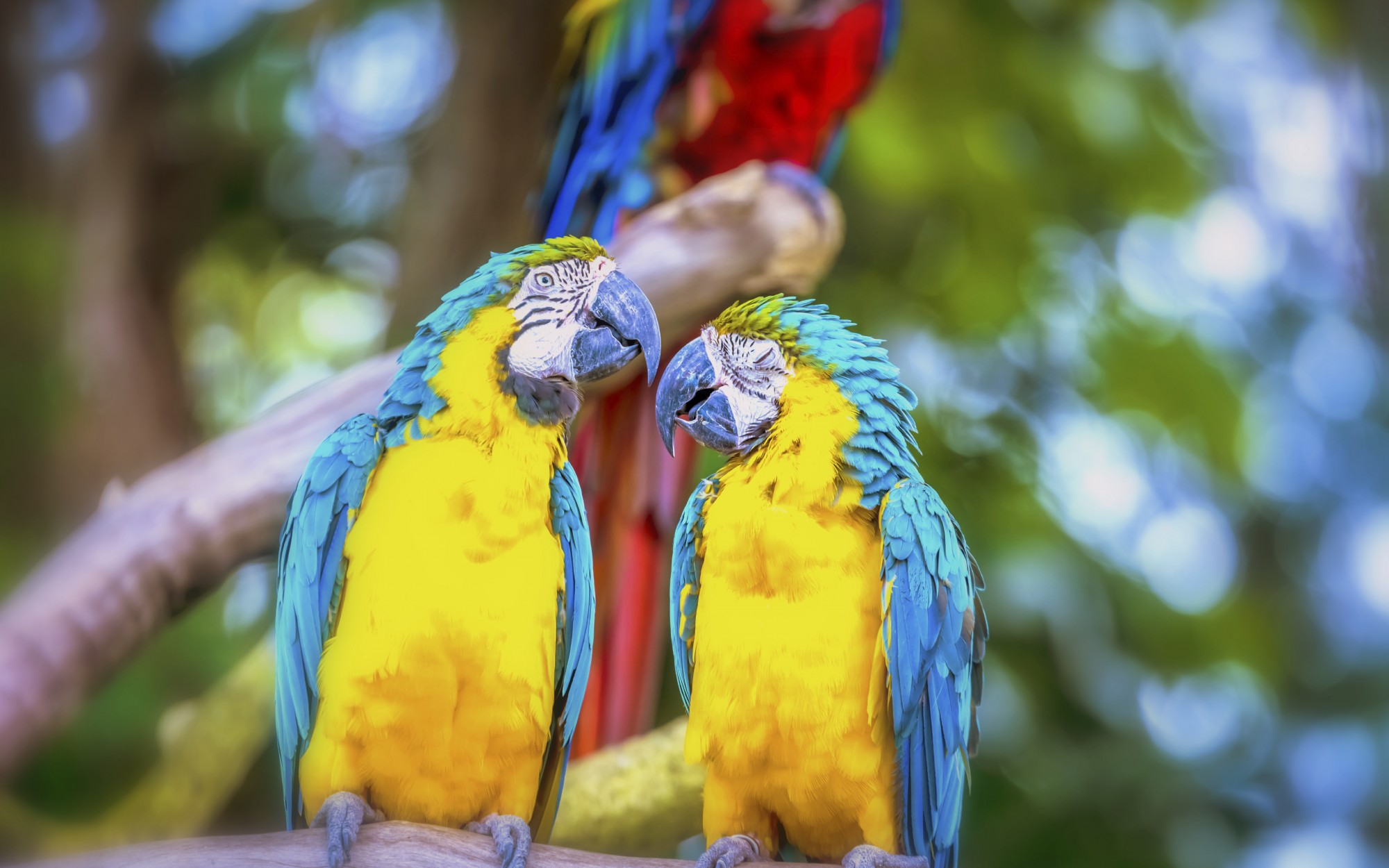 Super contributions explained | brightday